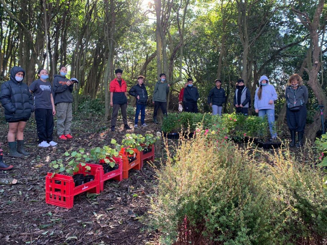 Matariki planting at the awa – Ngā Puna O Waiōrea