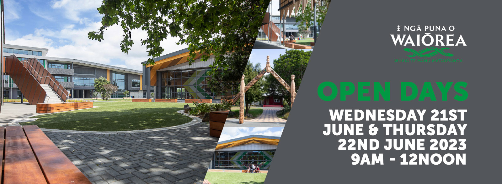 Ngā Puna O Waiōrea – WHĀIA TE MANU MĀTAURANGA