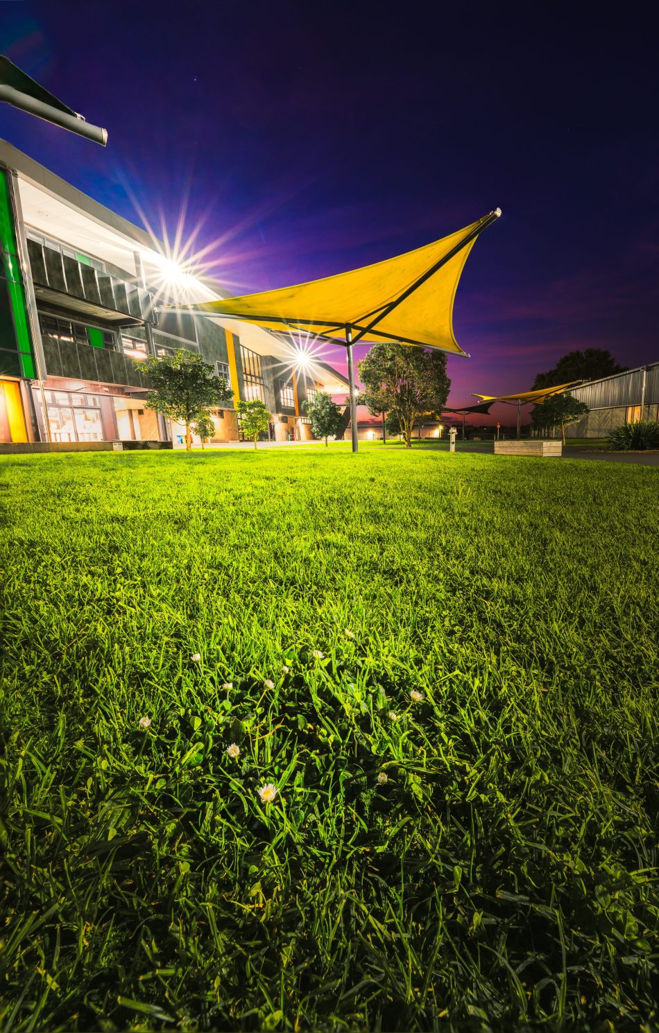 The colours of WSC-NPoW – Ngā Puna O Waiōrea